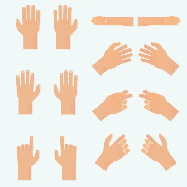 Realistic hands Vector Art Stock Images | Depositphotos