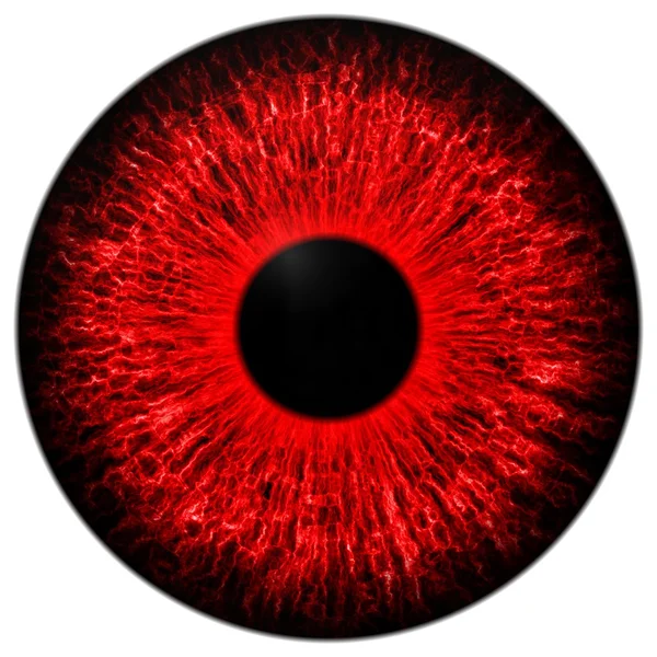 Red eye Stock Photos, Royalty Free Red eye Images | Depositphotos