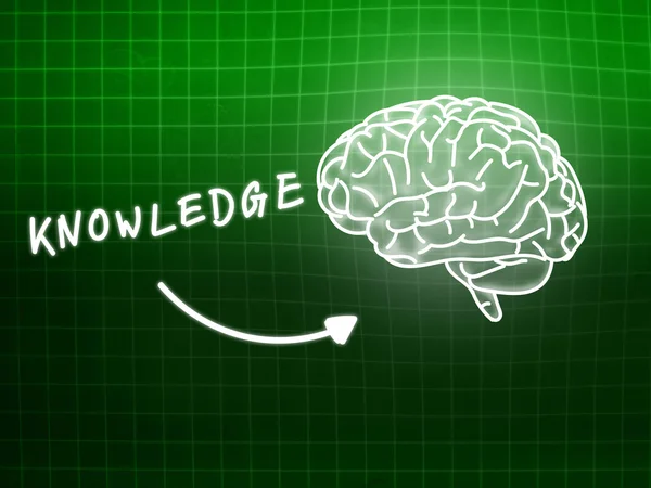 Brain growth and knowledge Stock Photos, Royalty Free Brain growth and ...