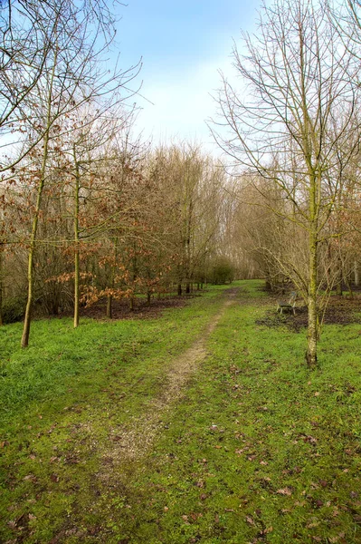 Burwash common Stock Photos, Royalty Free Burwash common Images ...