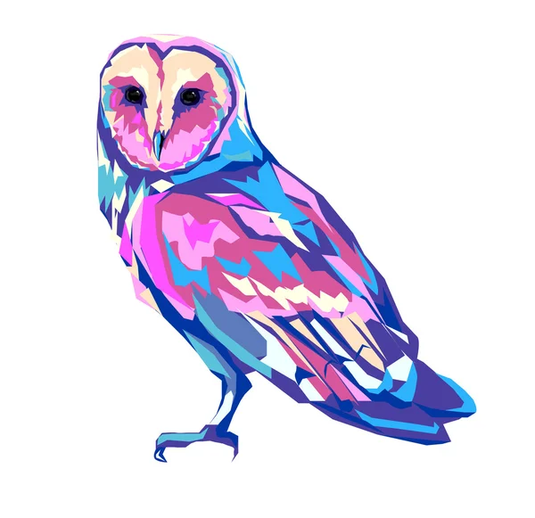 733 Barn owl Vector Images, Barn owl Illustrations | Depositphotos