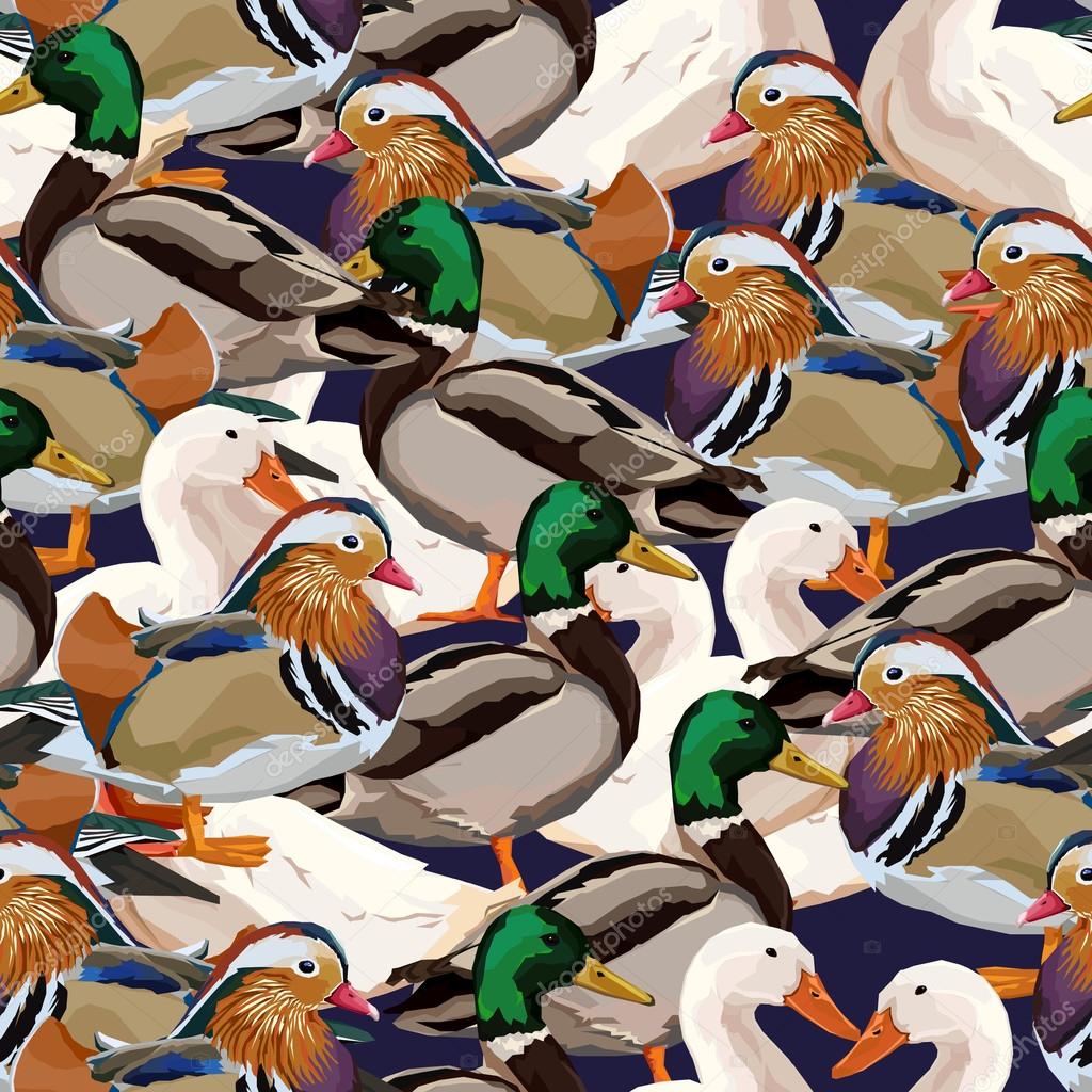 Ducks seamless pattern — Stock Vector © AlsouSh #123357136