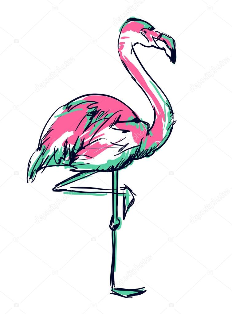 Hand-drawn flamingo — Stock Vector © AlsouSh #123358910