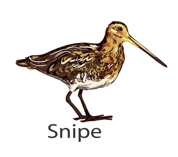 ᐈ Snipe silhouette stock vectors, Royalty Free snipe illustrations ...