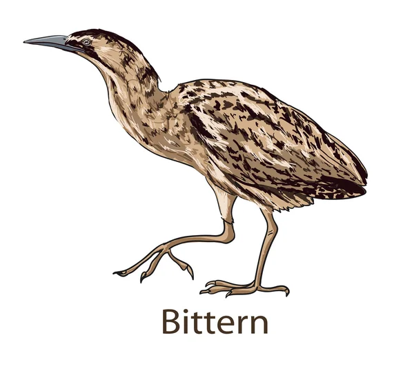 Bird sketch easy | Bird sketch 2 — Stock Vector © Cundrawan703 #69992711