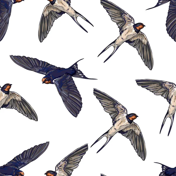 Tree swallow Stock Vectors, Royalty Free Tree swallow Illustrations ...