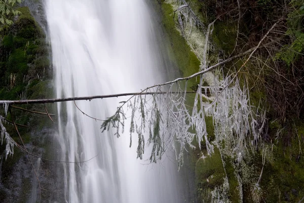 Sandra orlow waterfall pictures Stock Photos, Royalty Free Sandra orlow ...