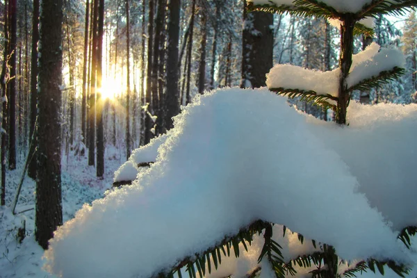 Sunshine over snow Stock Photos, Royalty Free Sunshine over snow Images ...