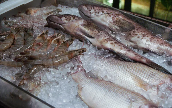 Fresh meat fish Stock Photos, Royalty Free Fresh meat fish Images ...