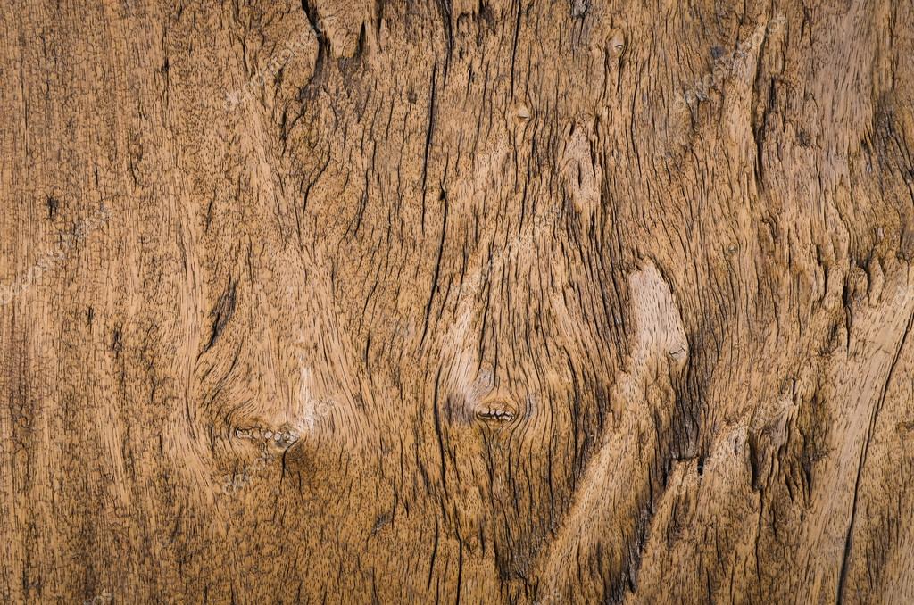 Bark wood texture as natural background — Stock Photo © kwanchaidp ...