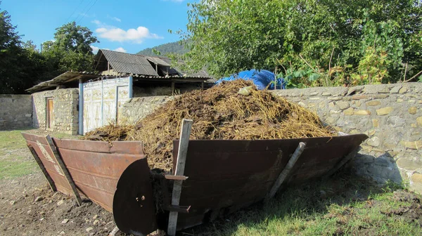 Farmyard manure Stock Photos, Royalty Free Farmyard manure Images ...