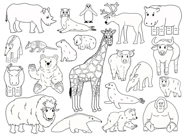 100,000 Zoo animal outlines Vector Images | Depositphotos