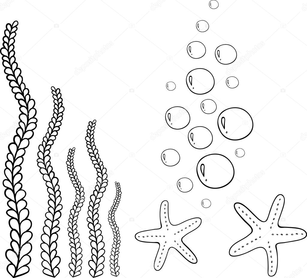 Desenho De Algas Marinhas Para Colorir Tudodesenhos Sketch Coloring Page