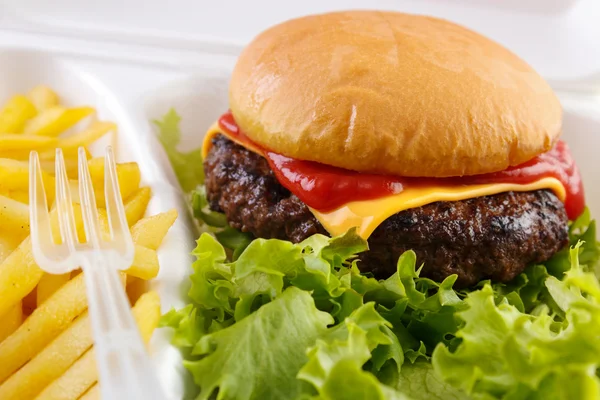 Burger with fries portion - Stock Image - Everypixel