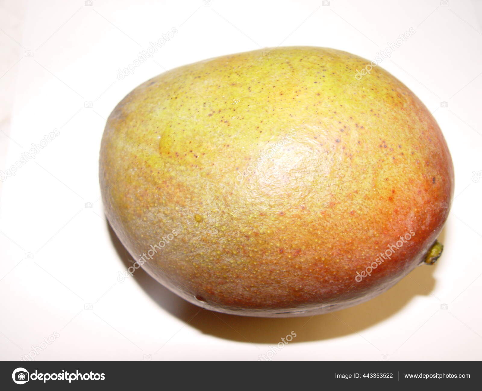 Single Whole Ripe Mango — Stock Photo © Ola555 #443353522