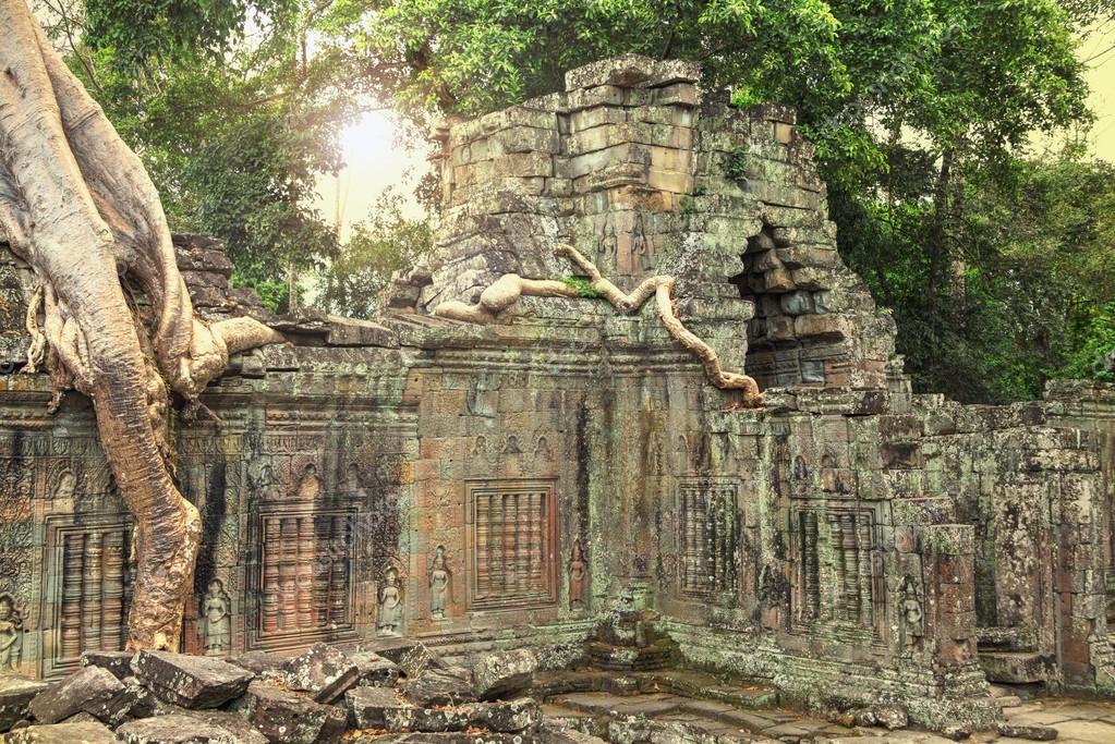 Ruins of ancient temple with a tree growing straight from the to ...