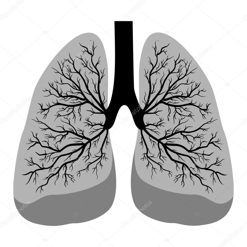 pulmones humanos negro 2023