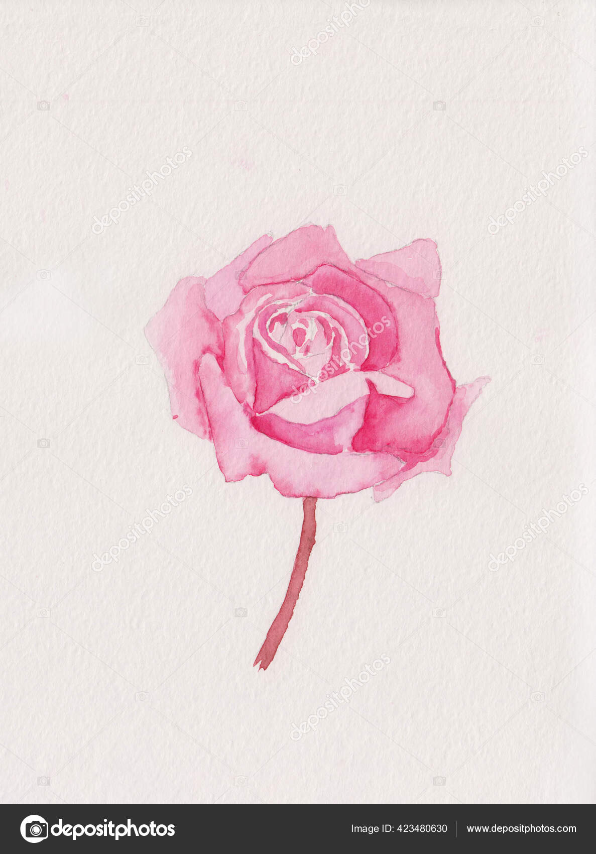 Pink Rose Drawing With Stem