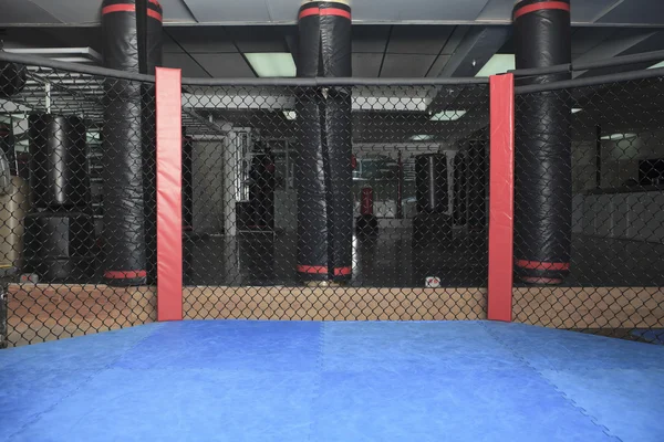 ᐈ Fighting octagon stock images, Royalty Free mma octagon photos ...