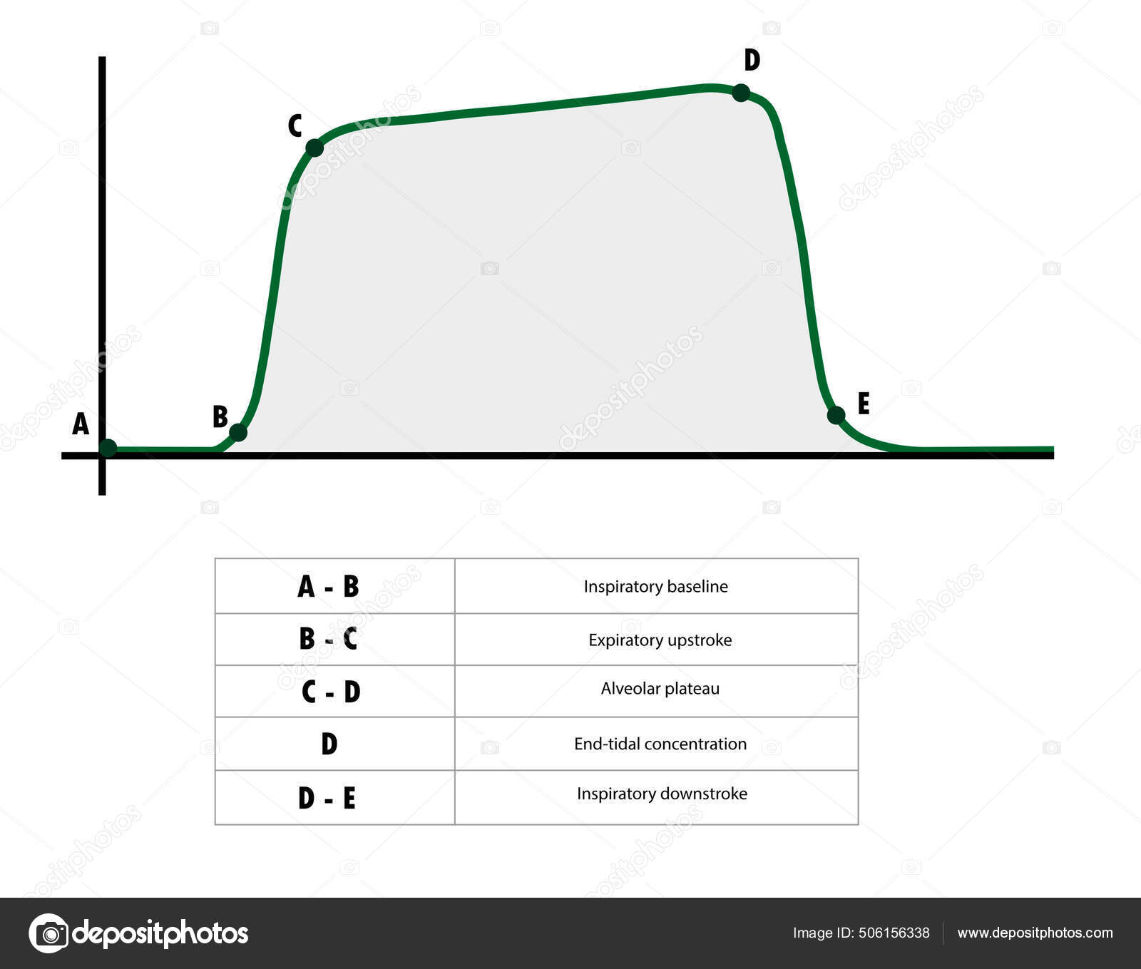 Capnography Waveform Phases Description Each Phase Capnography Waveform ...