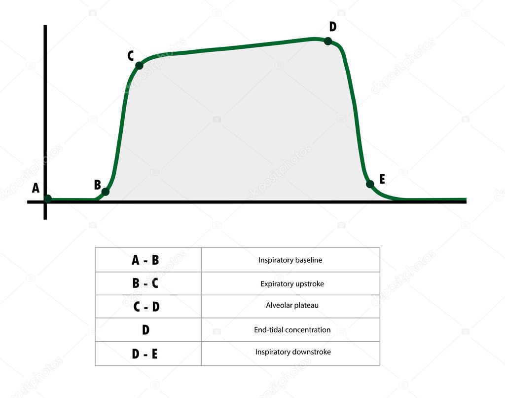 Capnography Waveform Phases (en inglés). Descripción de cada fase de la ...