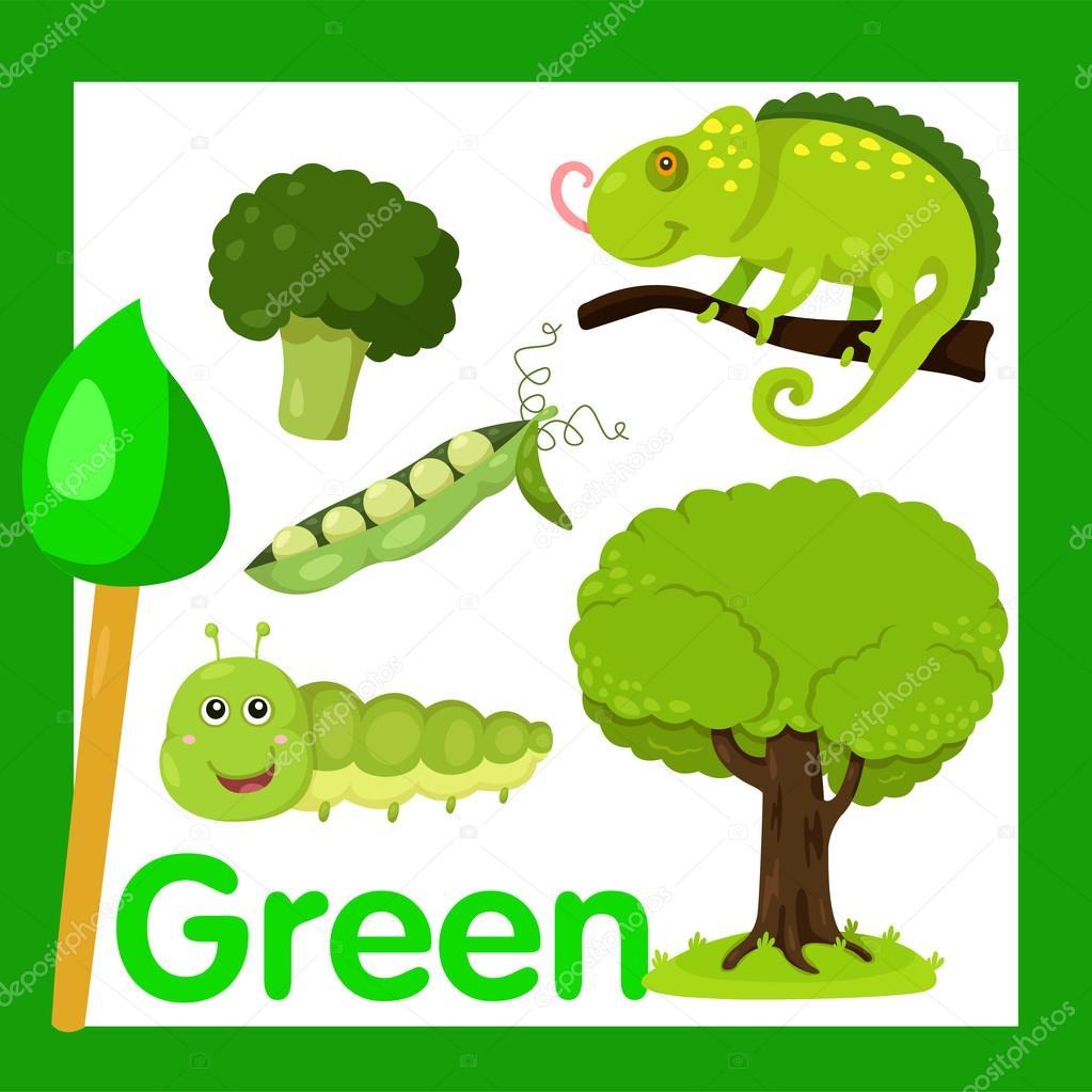 Ilustrador de color verde Vector de stock por ©chingowinn 86217478