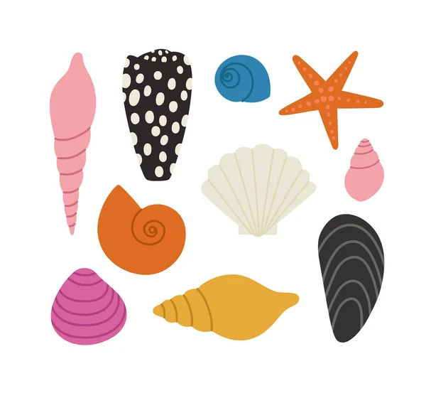 Sea Shell Cartoon