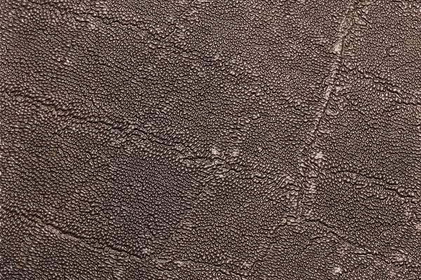 Leather texture background surface - Stock Image - Everypixel