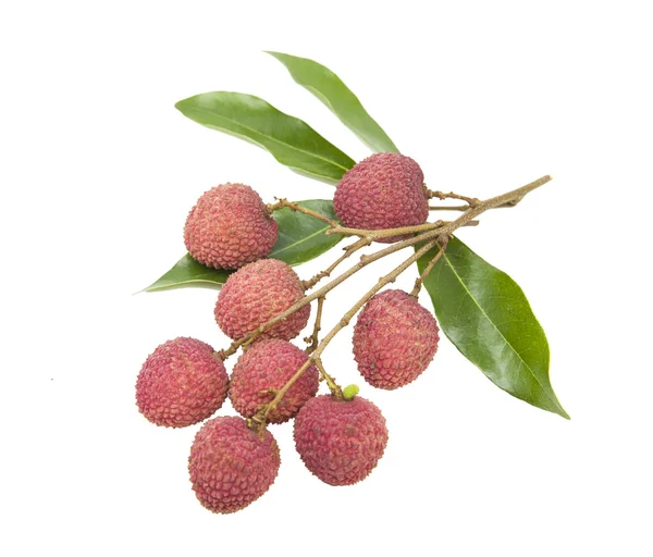 Árvore de lychee Stock Photos, Royalty Free Árvore de lychee Images ...