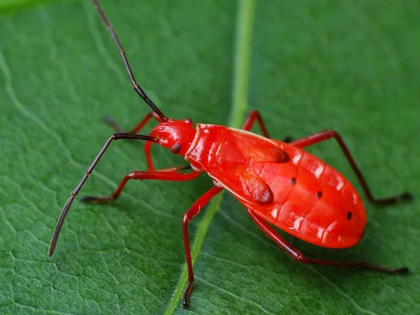 Queralbs Stock Photos, Royalty Free Queralbs Images | Depositphotos