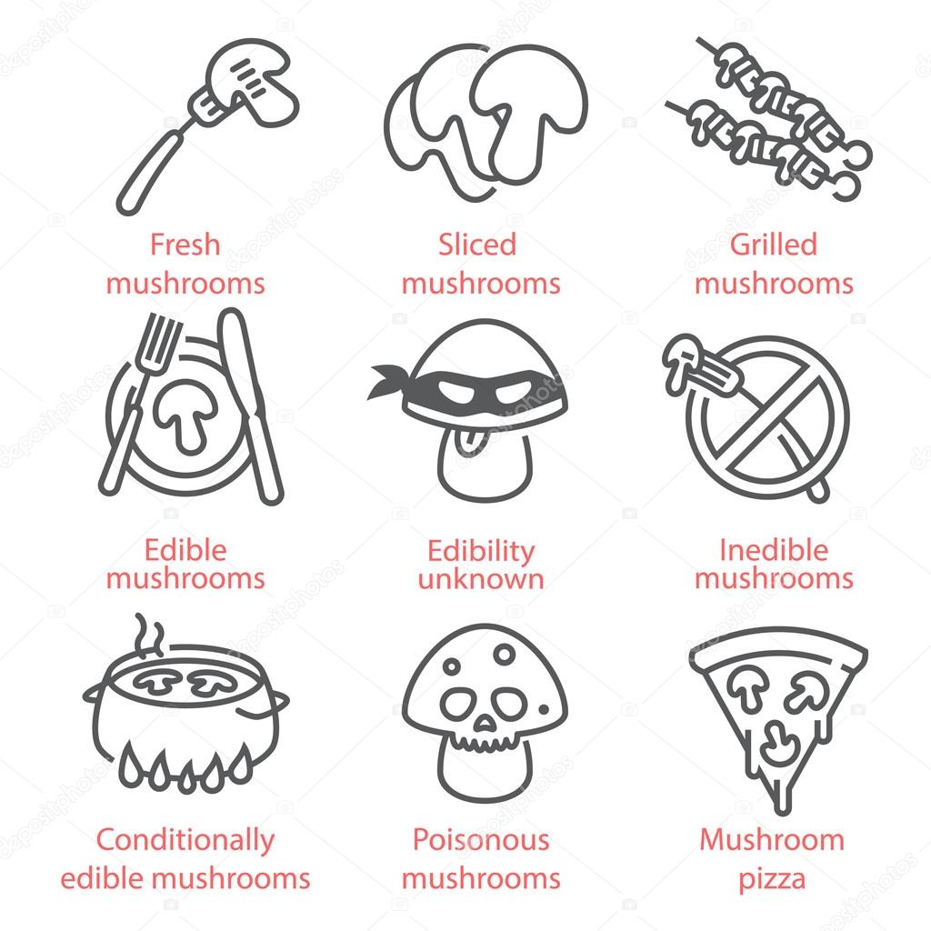 Conjunto de iconos de l nea delgada vectorial con accesorios y equipos de vapeo para infograf as ...