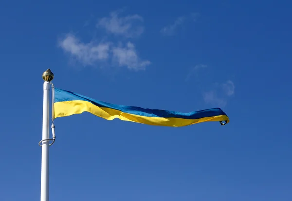 Zweedse wimpel Stockfoto's, Rechtenvrije Zweedse wimpel afbeeldingen ...