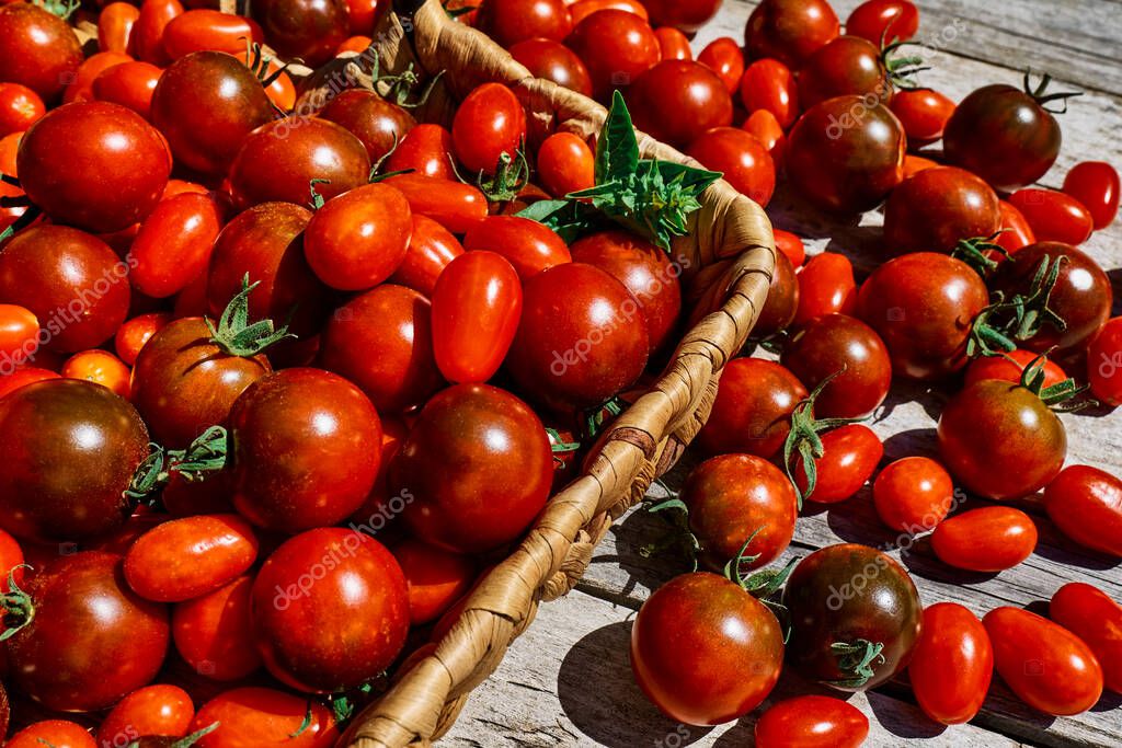 Fondo de textura de tomates rojos maduros. Diferentes calidades de ...