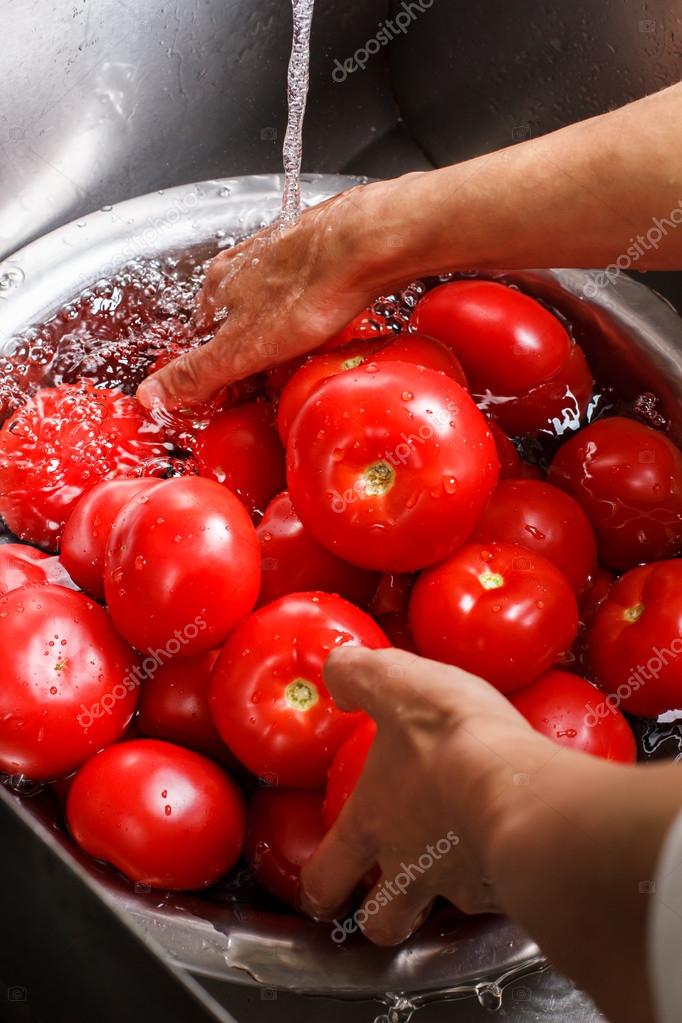 Hands wash tomatoes in basin. Stock Photo by ©Denisfilm 115765092
