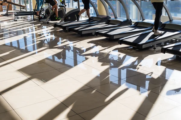 Training apparatus in gym hall. - Stock Image - Everypixel