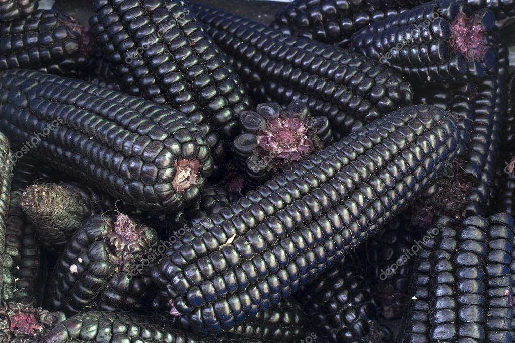 Peruvian purple corn (maiz morado), used to prepare juice called chicha ...