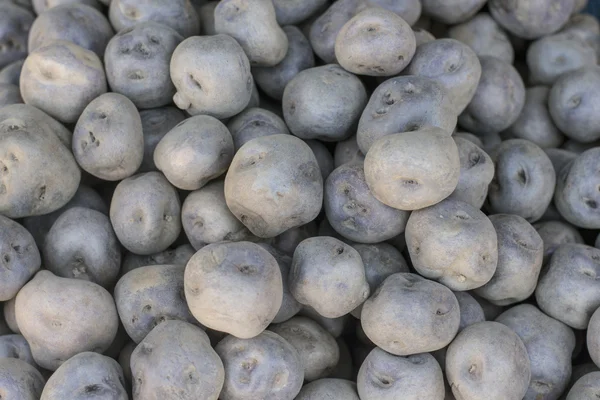 Blue potato bushes Stock Photos, Royalty Free Blue potato bushes Images ...