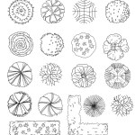 A set of treetop symbols, for architectural or landscape design Stock ...