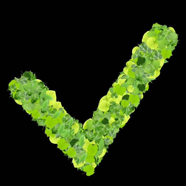 Approved, ok, like, eco sign made from green leaves isolated on black ...