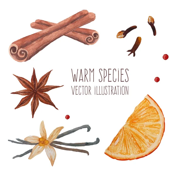 27,234 Spices Vectors, Royalty-free Vector Spices Images | Depositphotos®