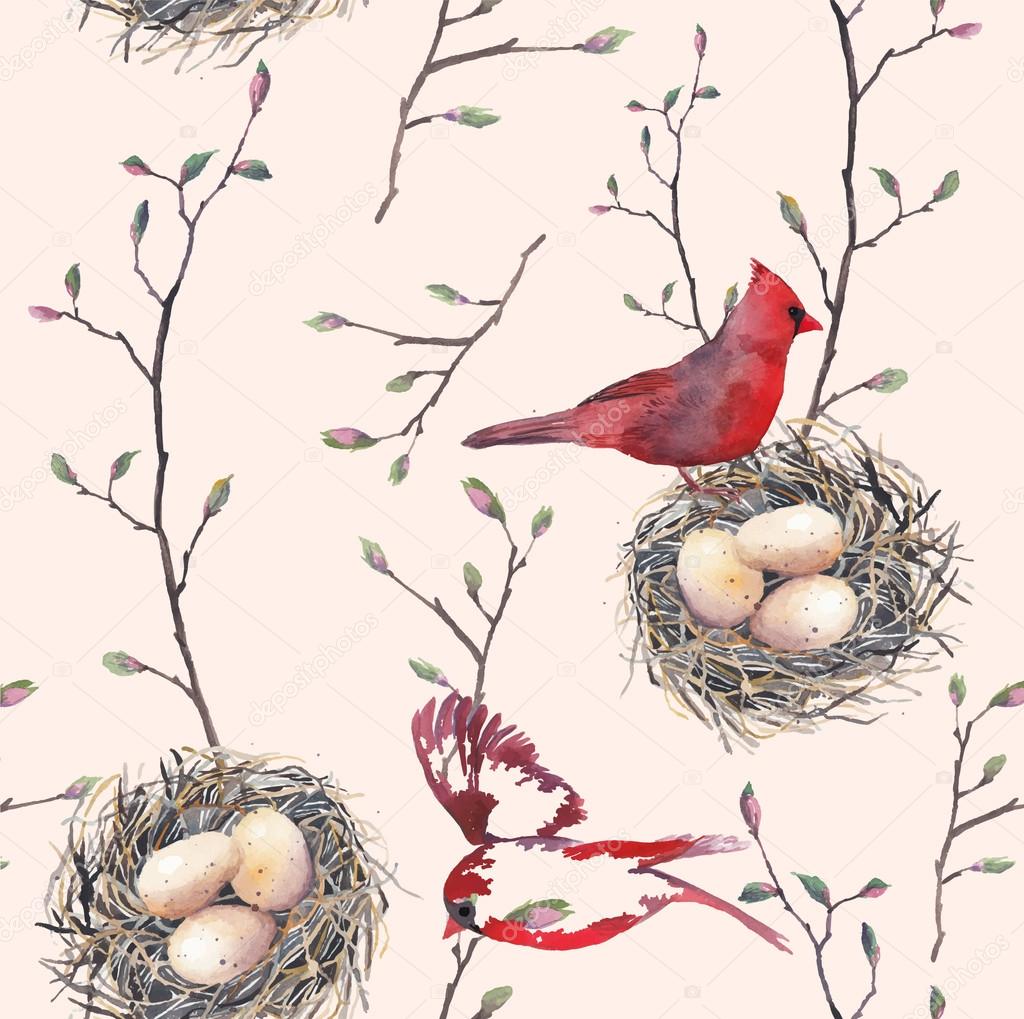 Pattern with nest, birds and tree twigs — Stock Vector © DinaL #73028195