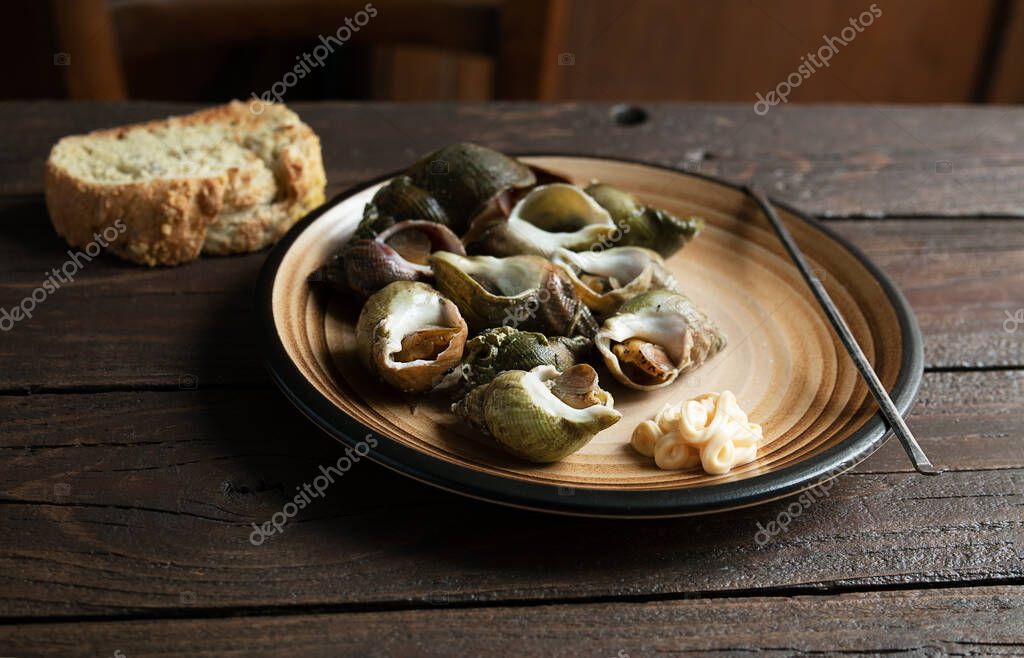 Caracoles marinos frescos bulot o cachorros comunes hervidos con ...