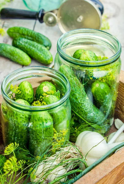 Fresh pickling cucumbers.Preparing to pickle fresh cucumbers with dill ...
