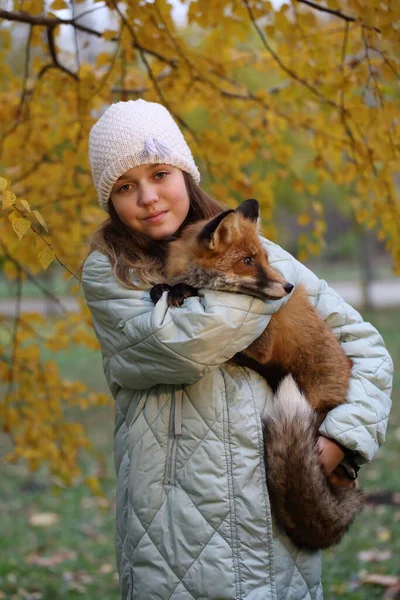 Red Fox Arms Girl — Stock Photo © DmZo #428947654