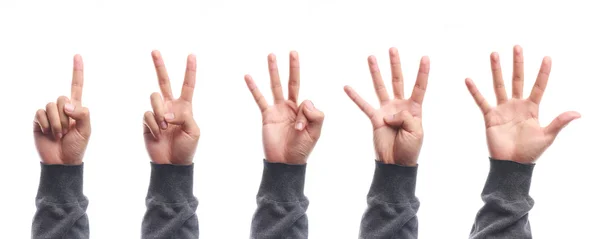 One to five fingers count hand gesture isolated Stock Photo by ©ChristianChan 58470095