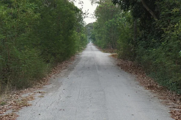 Split road Stock Photos, Royalty Free Split road Images | Depositphotos