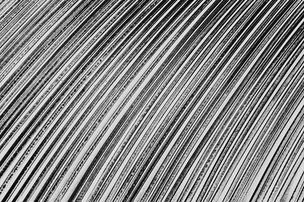 Metal line Images - Search Images on Everypixel