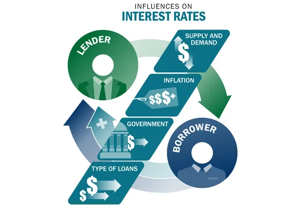 Interest rate Vector Art Stock Images | Depositphotos