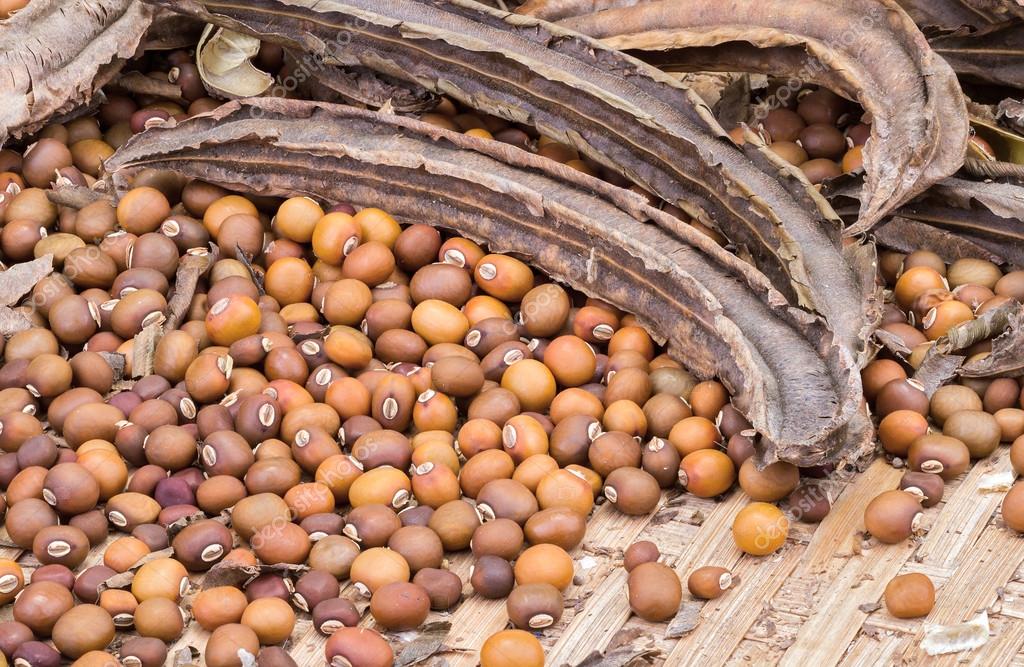 Dried Winged Bean seed and bean pod on bamboo basket — Stock Photo ...