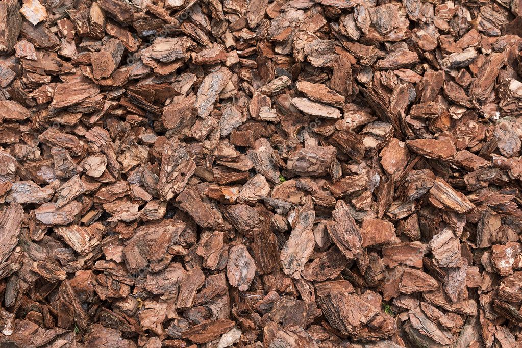 Natural bark used as a soil covering the garden. Background and Stock ...